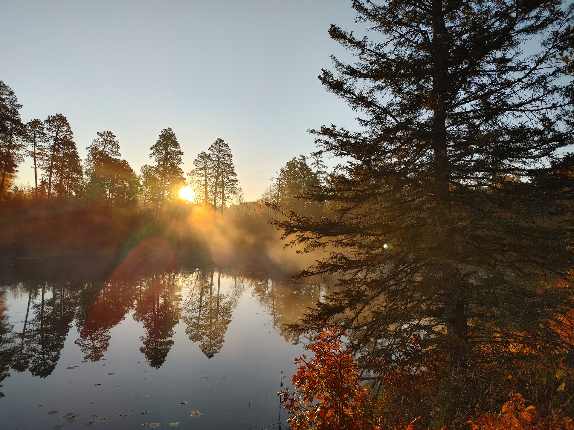 Plan Your Getaway to Beautiful Itasca State Park! | Lavender Magazine