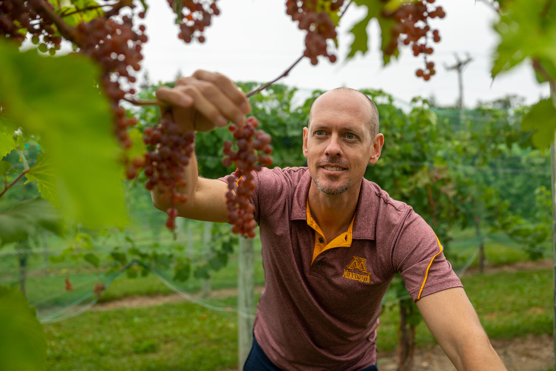 Deep Roots in Minnesota: Advice from a Local Leading Horticulture ...