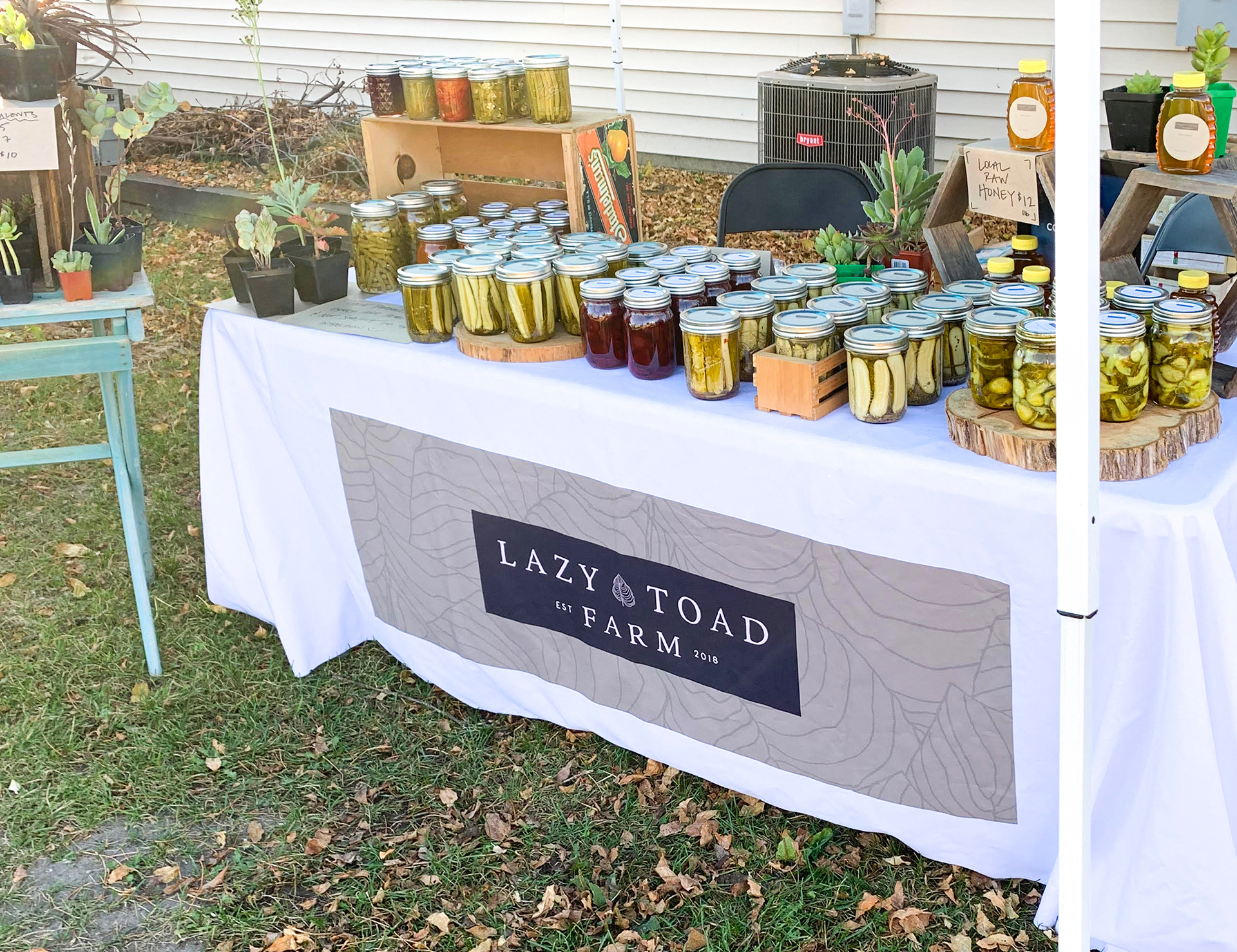 Lazy Toad Farm Shares Its Passion For Plants With The Community ...