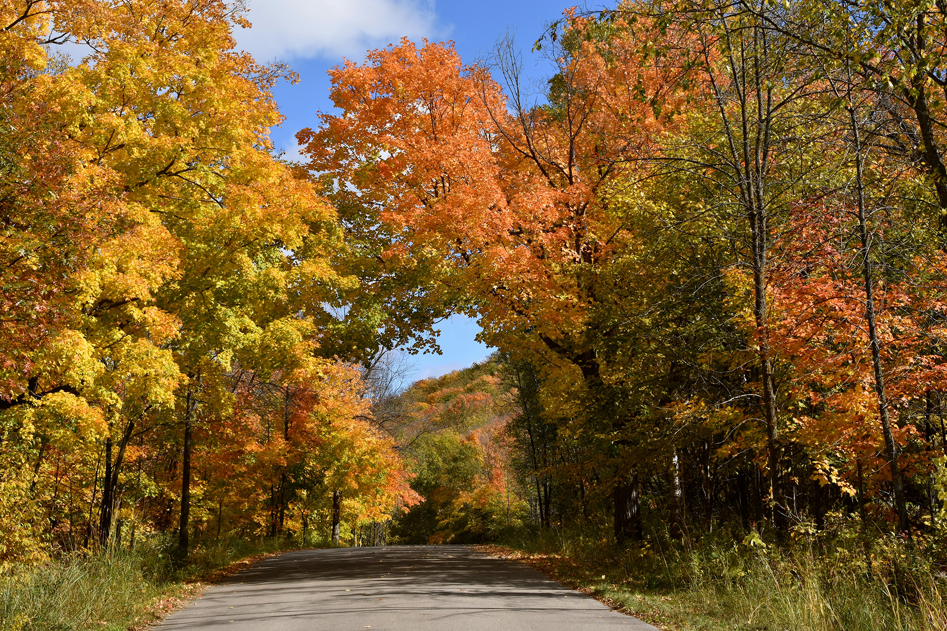 From The Editor: Falling for Fall | Lavender Magazine