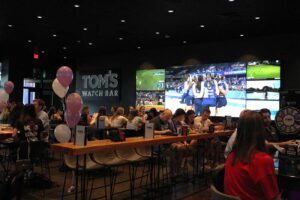 Women's Sports in Minnesota Continue to Grow with Two Pro Volleyball ...